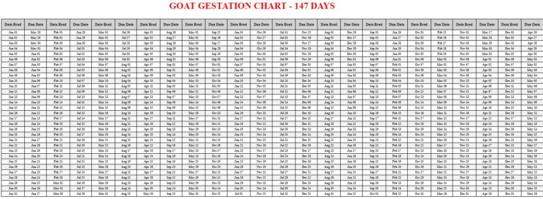 Goat Gestation Calculator & Chart {Printable} - Livestocking