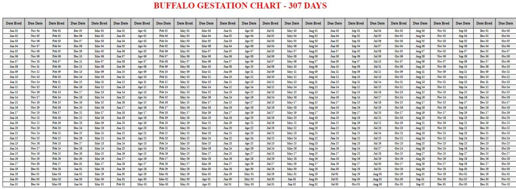 Buffalo Gestation Calculator & Chart {Printable} - Livestocking