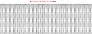 Your One-Stop Site for Animal Gestation Information & Calculator