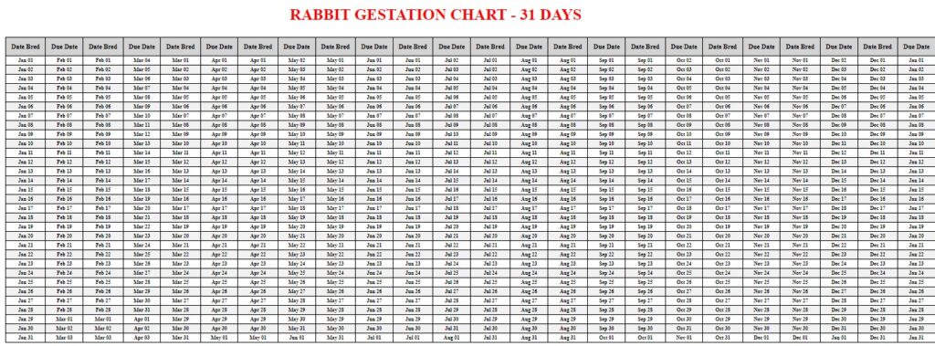 Rabbit Gestation Calculator & Chart {Printable} - Livestocking