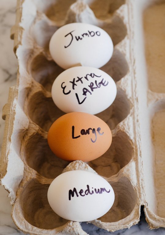 Factors Affecting Egg Size of Poultry Birds