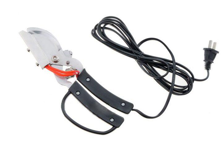 How to Safely Debeak Chickens & Other Poultry Birds - Livestocking