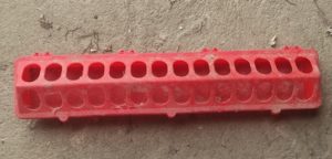 Brooding in Poultry - Definition, Types & How to Brood