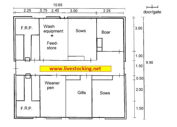 A Beginner's Guide to Pig Farming - Livestocking