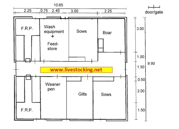 A Beginner's Guide to Pig Farming - Livestocking