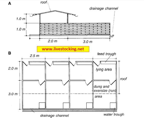 A Beginner's Guide to Pig Farming - Livestocking