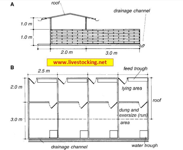 A Beginner's Guide to Pig Farming - Livestocking