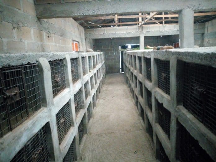 Pictures of Locally-Made Grasscutter Cages - Livestocking
