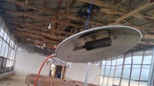 Brooding in Poultry - Definition, Types & How to Brood